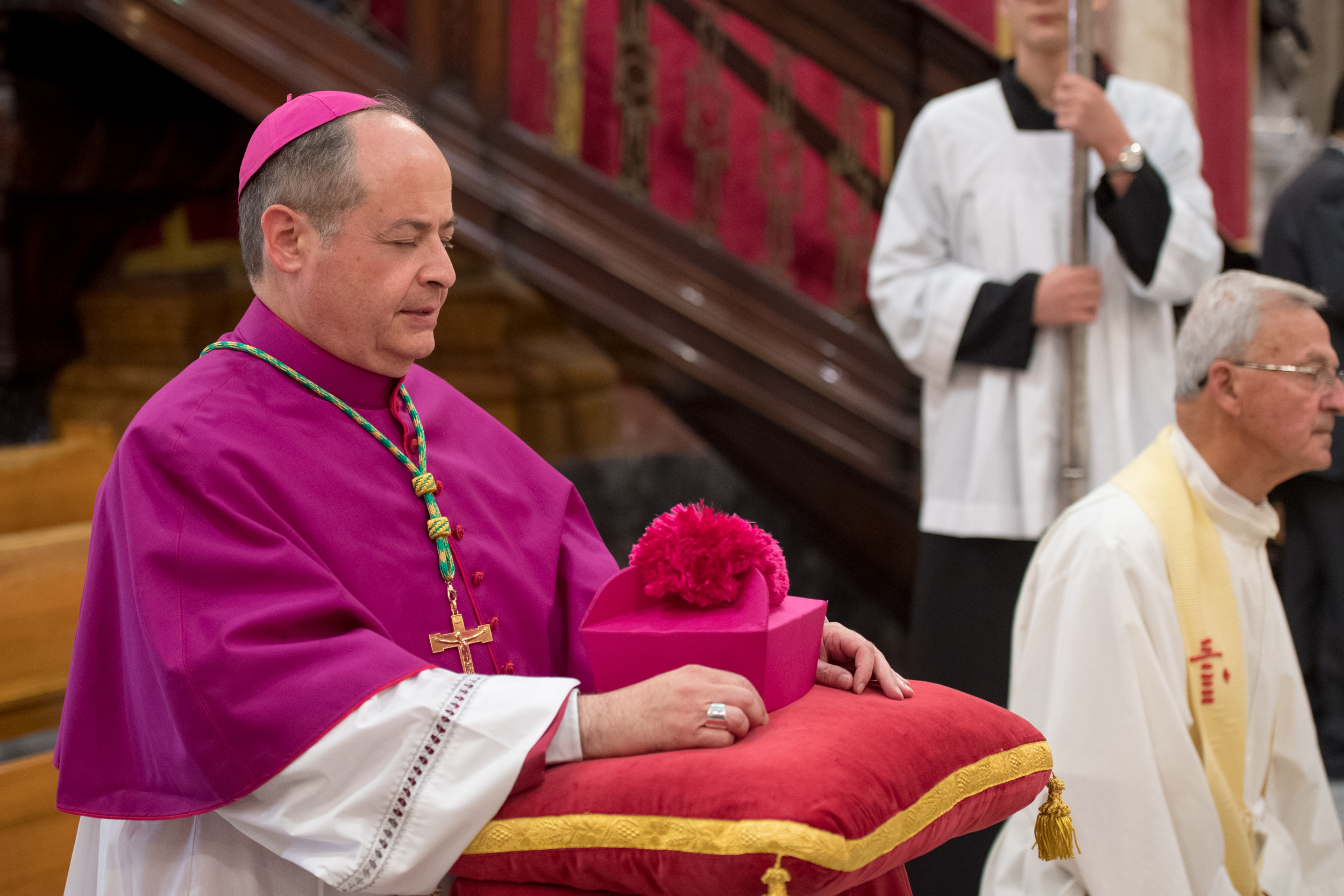 Major contribution in the Church’s mission – The Auxiliary Bishop ...