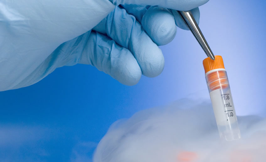 Cana Movement: The proposed amendments to the Embryo Protection Act ...