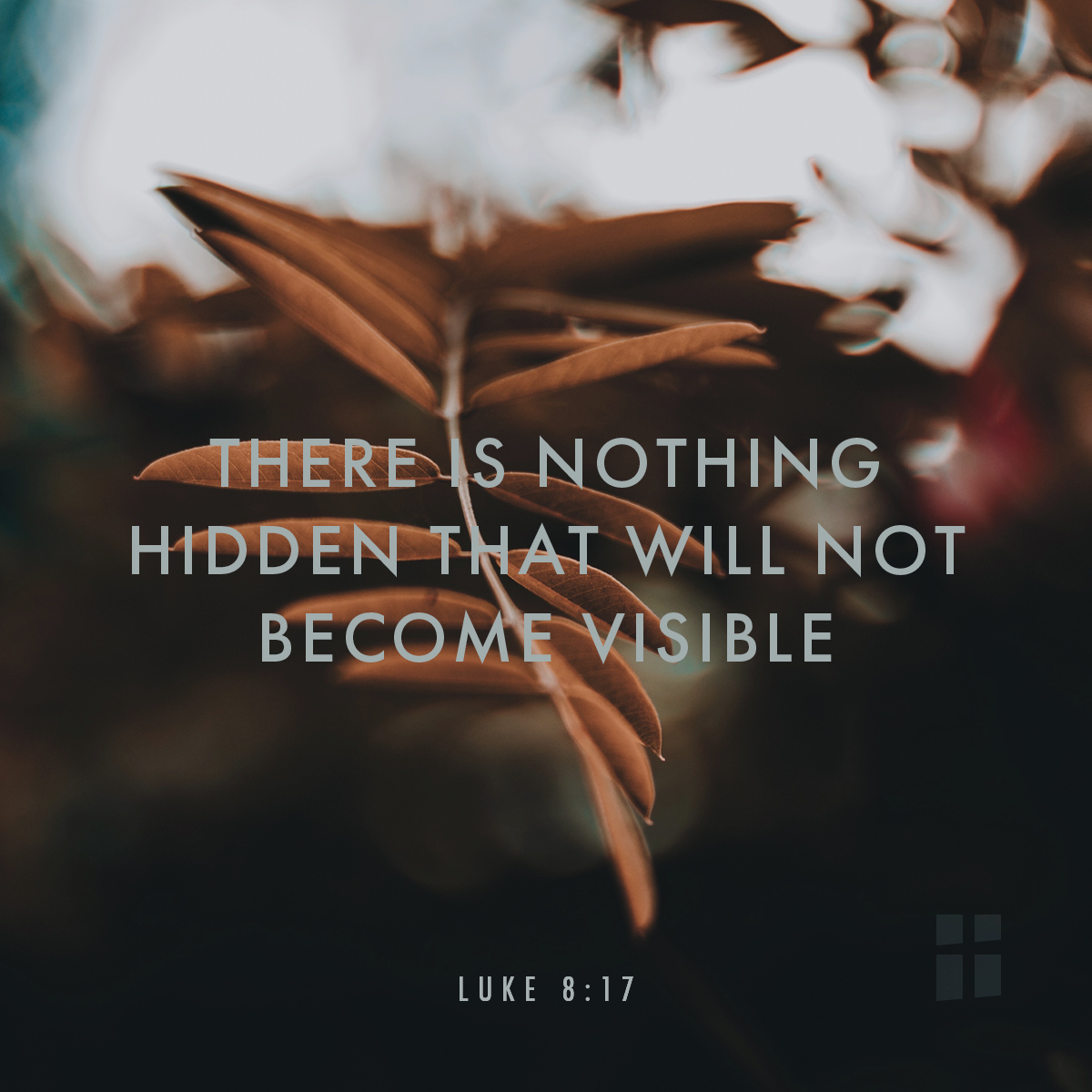 The Gospel of the day: 24th September – Archdiocese of Malta