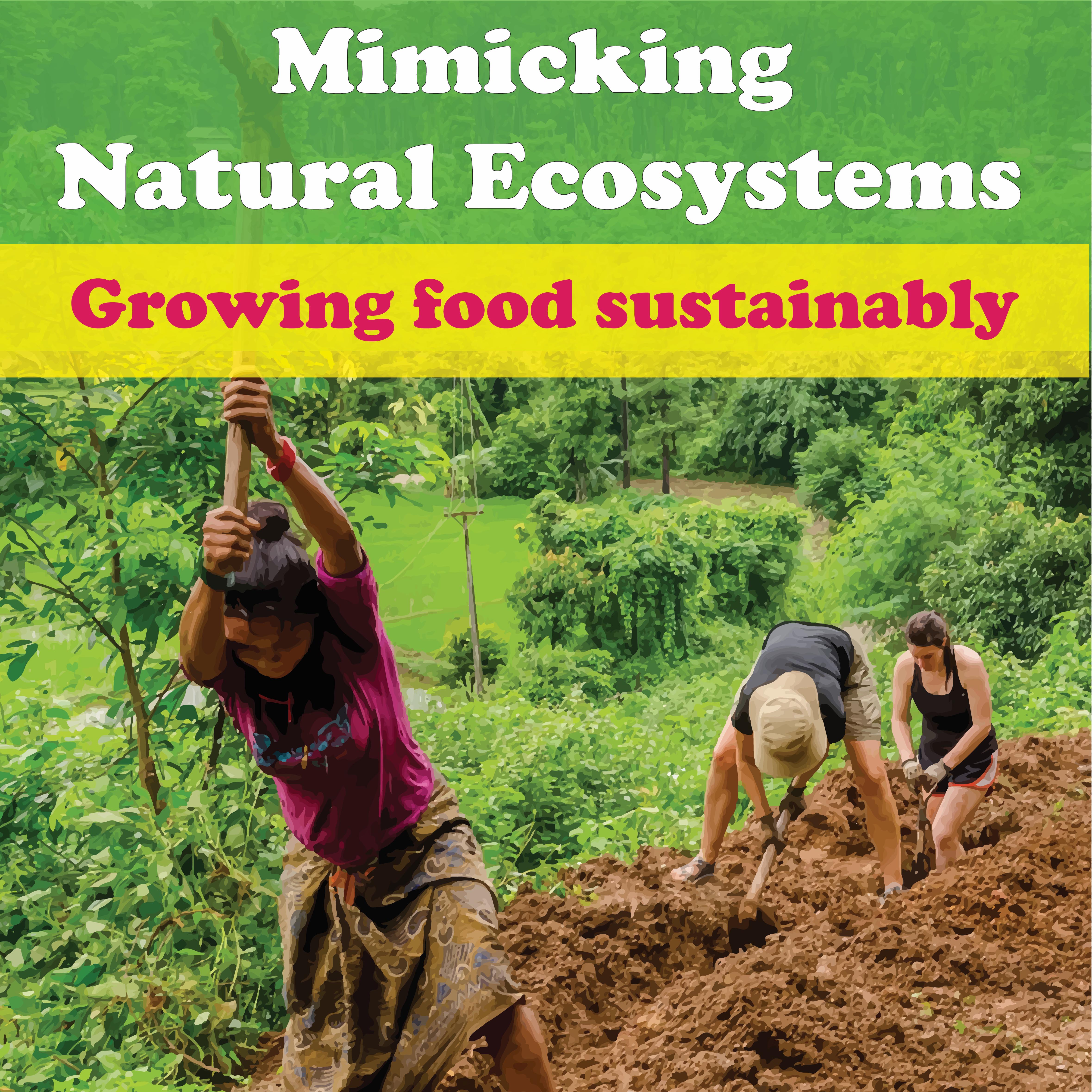 Another project by the Interdiocesan Environment Commission to promote ...