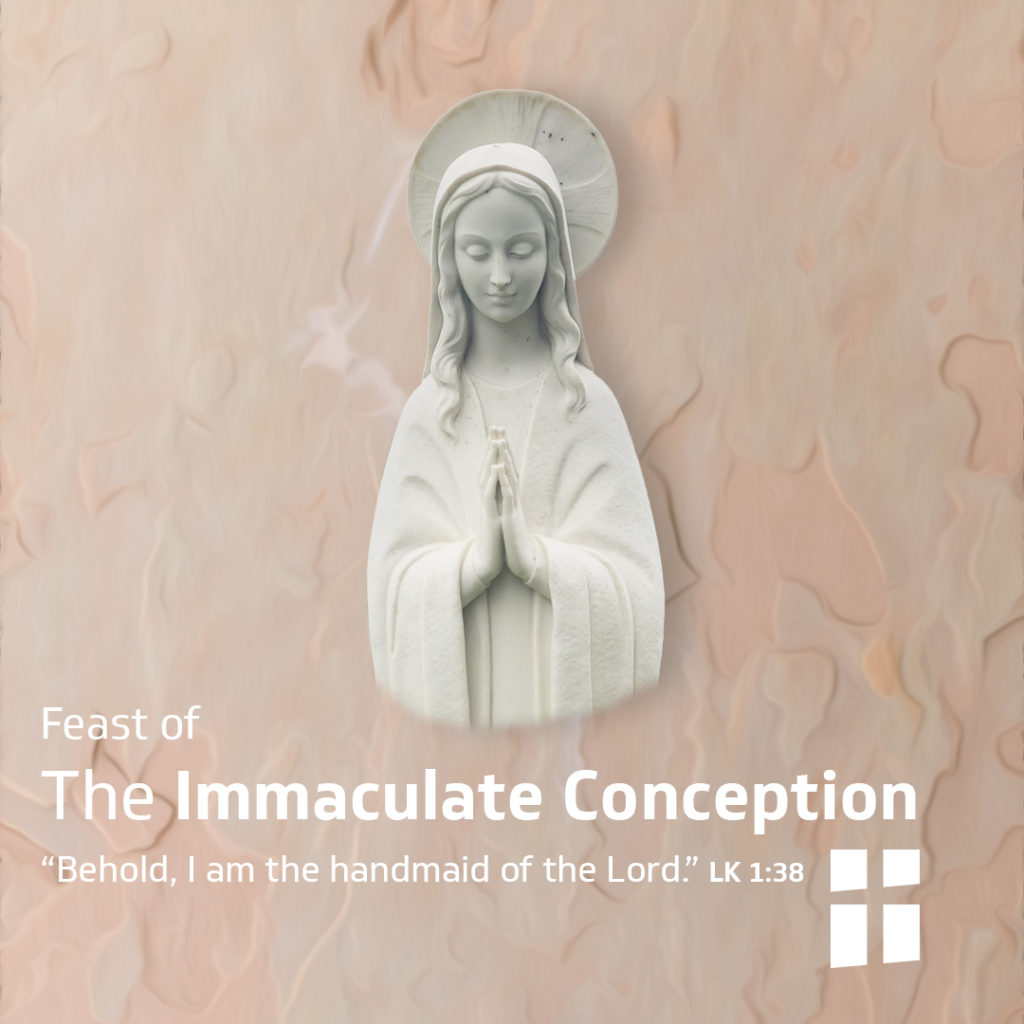 The Sunday Gospel: 8th December – Archdiocese of Malta