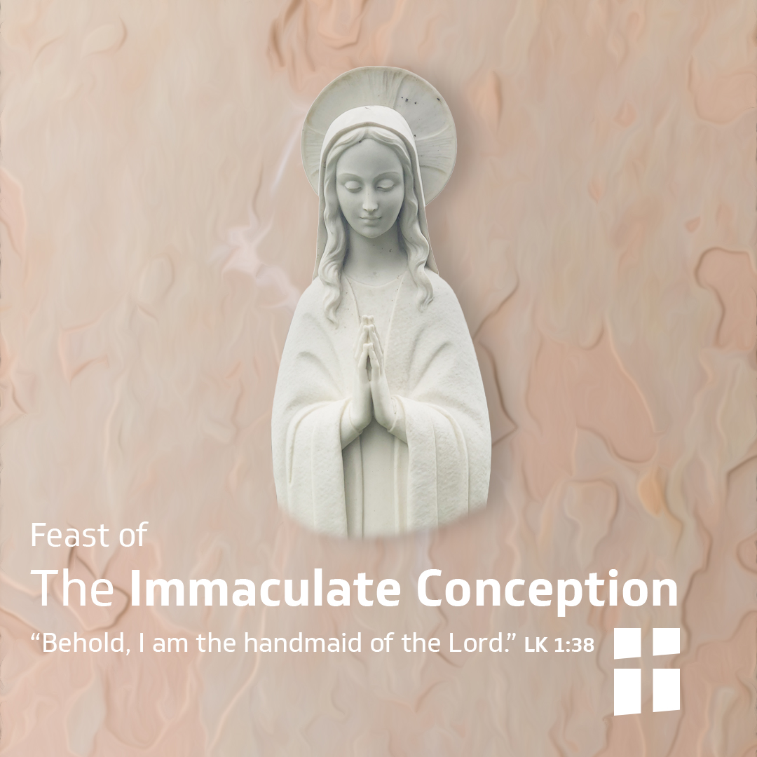 The Sunday Gospel: 8th December – Archdiocese of Malta