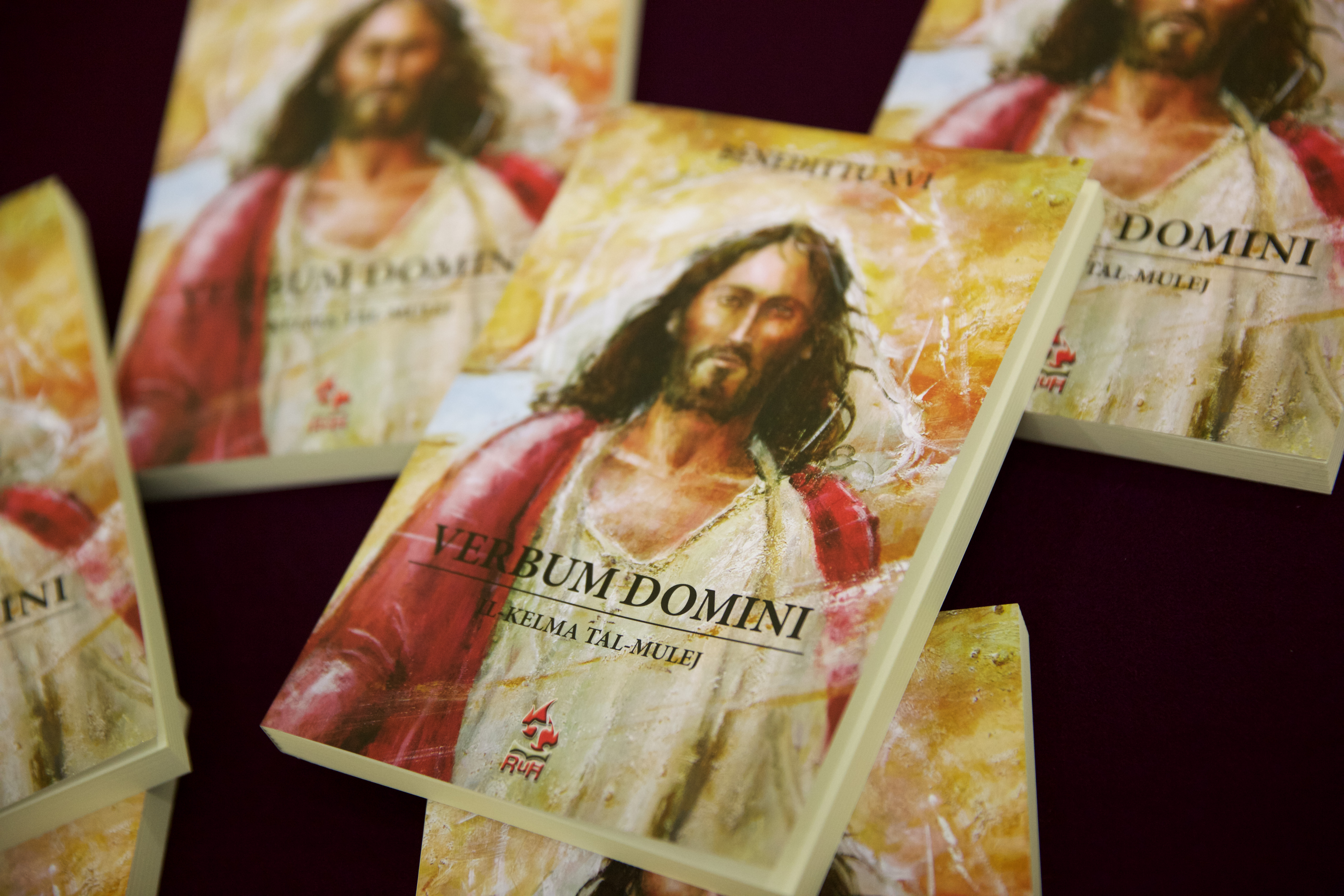 Watch: The launch of the Maltese translation of the Apostolic ...