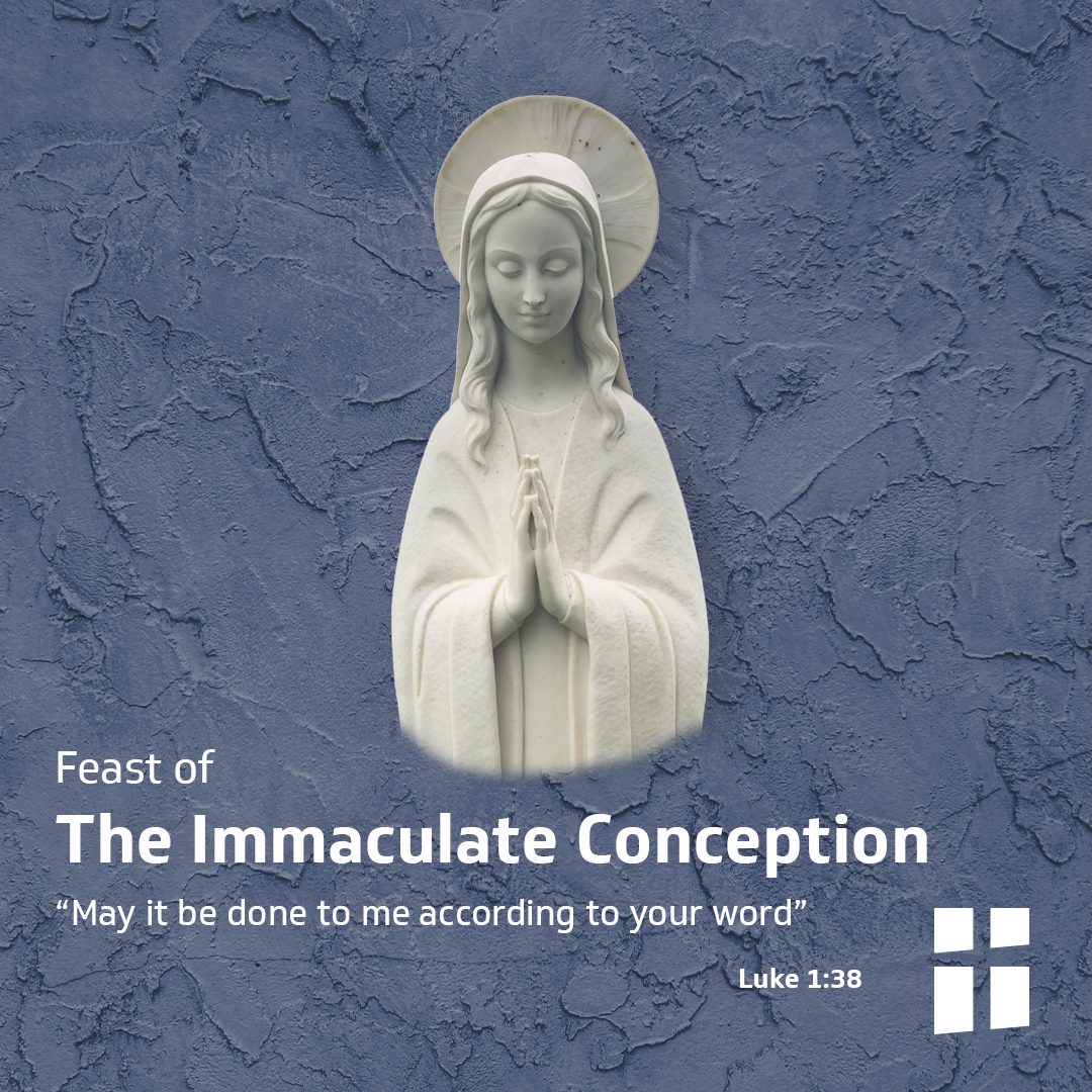 The Gospel of the day: 8th December – Archdiocese of Malta