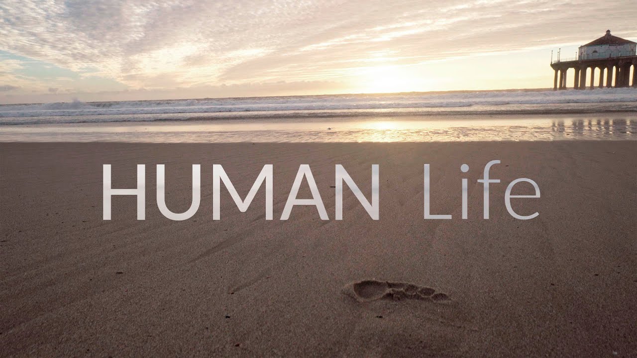 “Human Life” documentary highlights stories of overcoming hardship ...