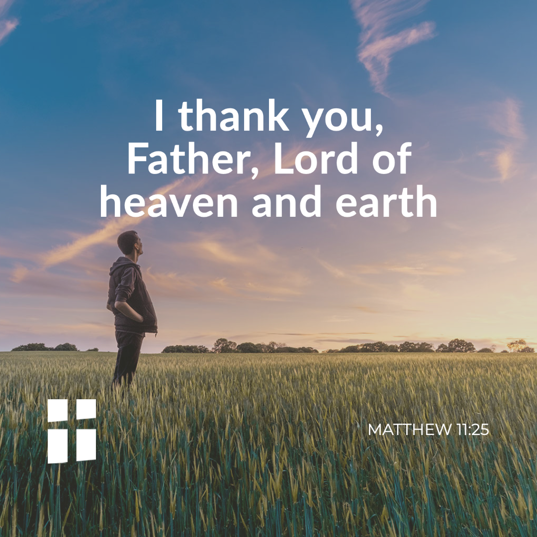 The Gospel of the day: 14th July – Archdiocese of Malta