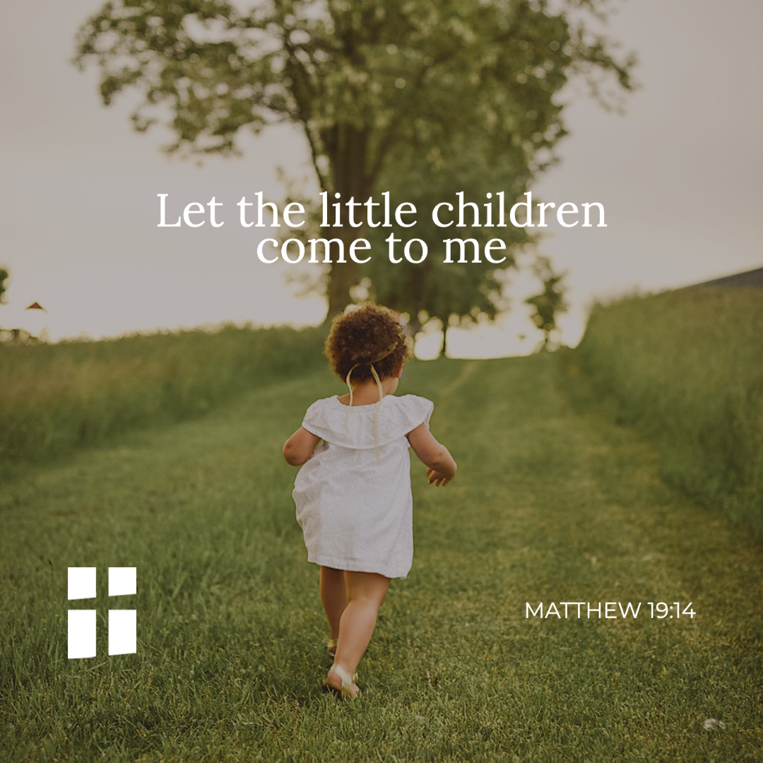 The Gospel of the day: 14th August – Archdiocese of Malta