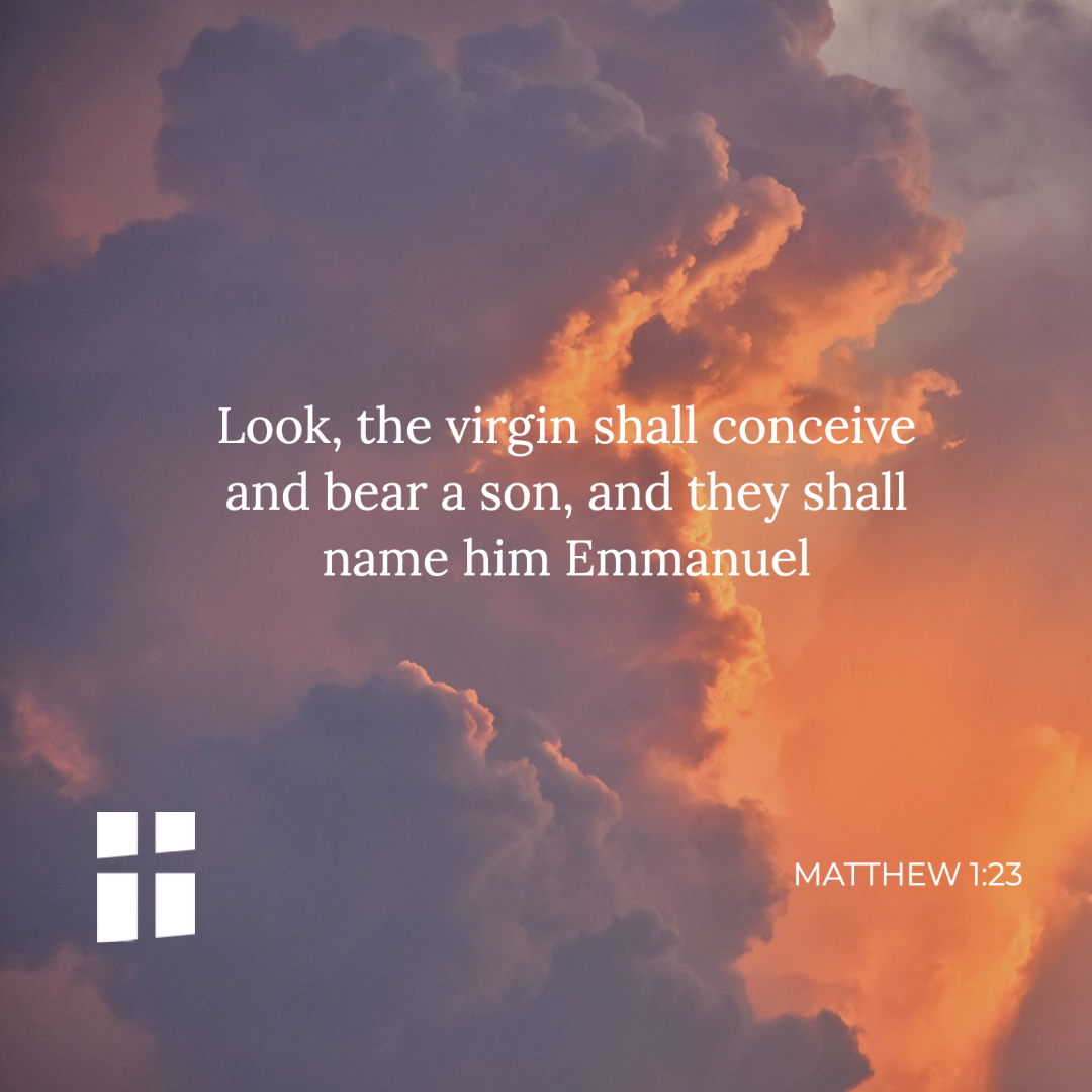 The Gospel of the day: 8th September – Archdiocese of Malta