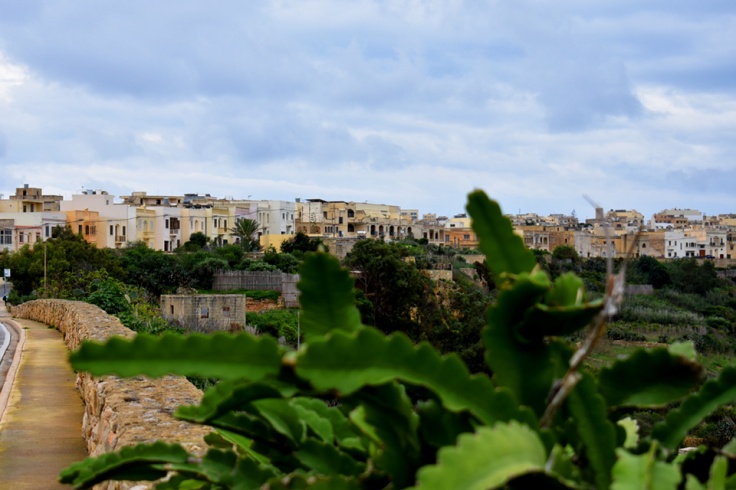 Gozo land facts – Archdiocese of Malta