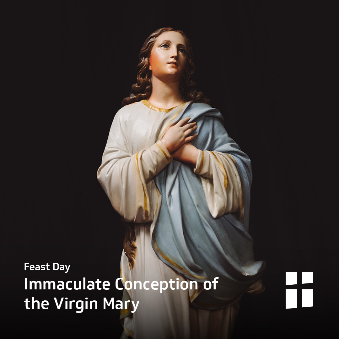 The Gospel of the day: 8th December – Archdiocese of Malta