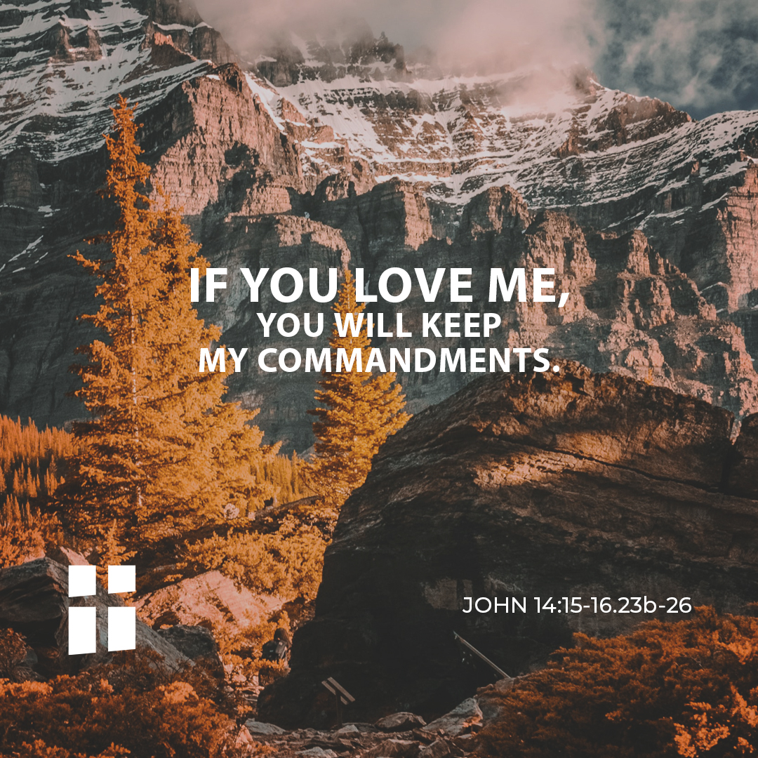 The Sunday Gospel 5th June Archdiocese Of Malta