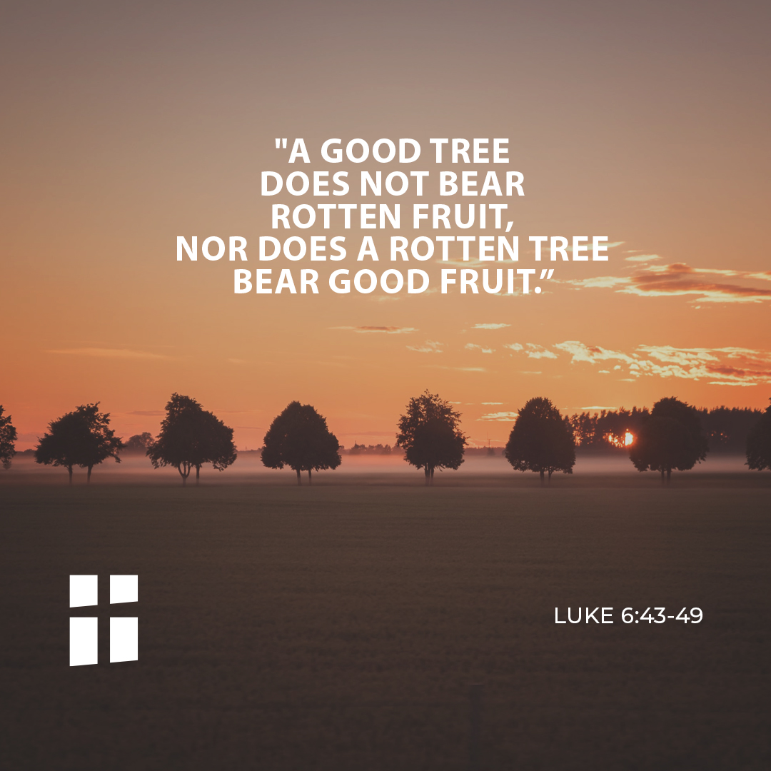 The Gospel of the day: 10th September – Archdiocese of Malta