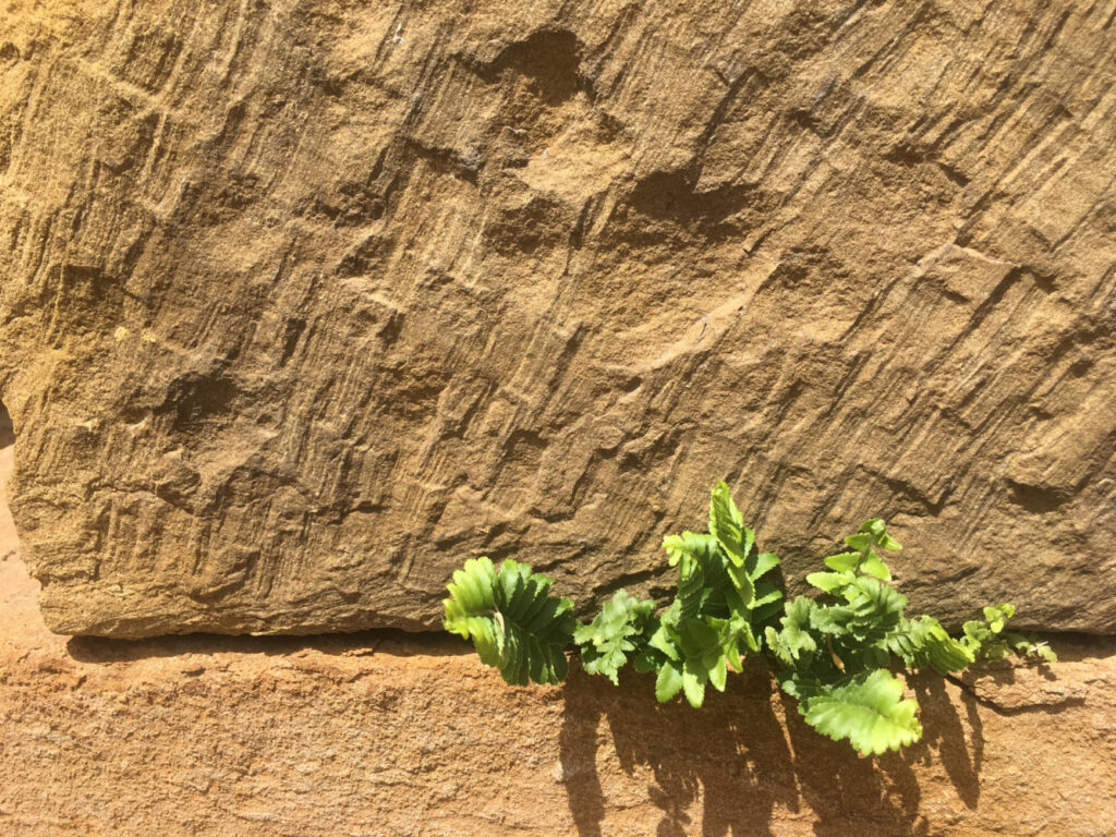 Feast of Saint George Preca – Archdiocese of Malta