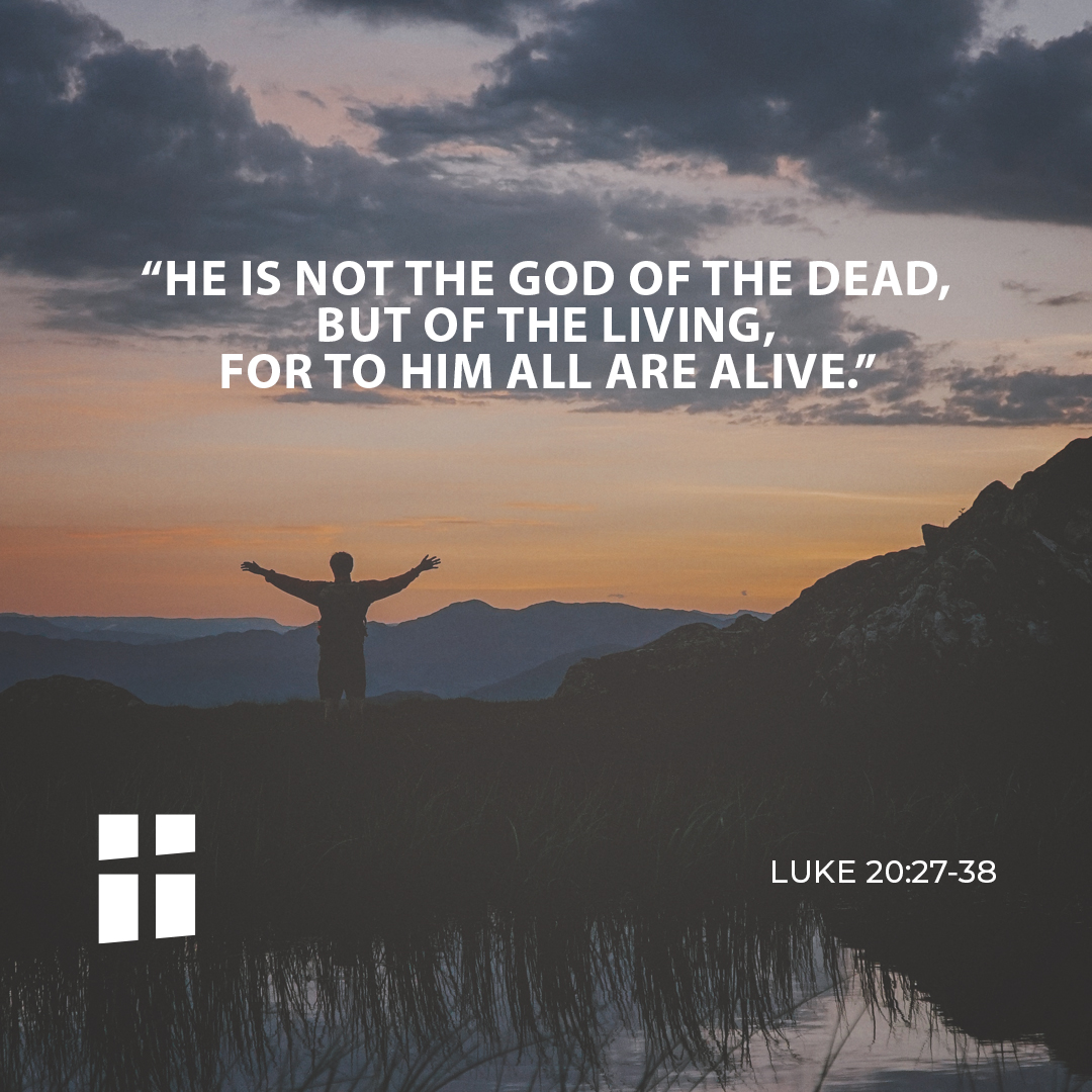 The Sunday Gospel: 6th November – Archdiocese of Malta