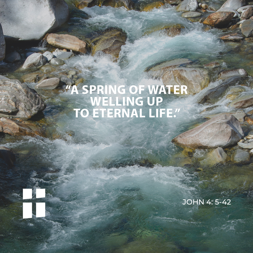 The Sunday Gospel: 12th March – Archdiocese of Malta