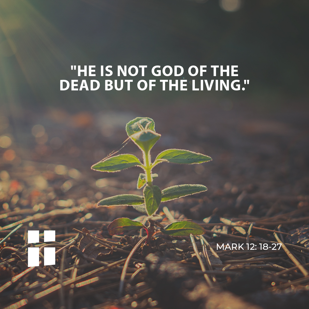 The Gospel of the day: 7th June – Archdiocese of Malta