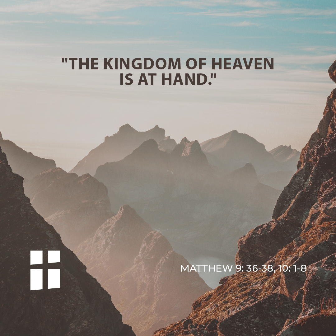 The Sunday Gospel: 18th June – Archdiocese of Malta