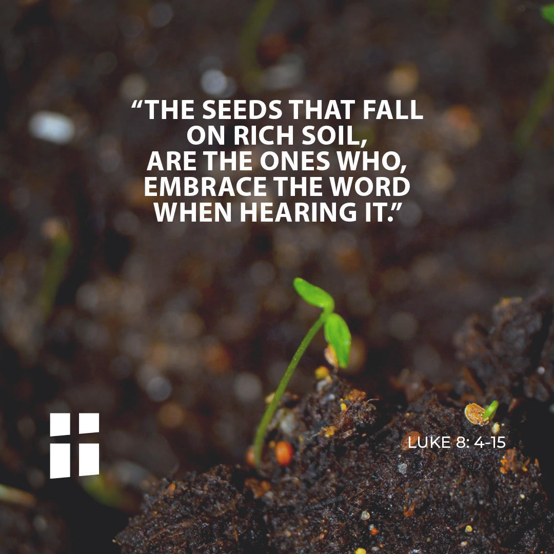 The Gospel of the day: 23rd September – Archdiocese of Malta