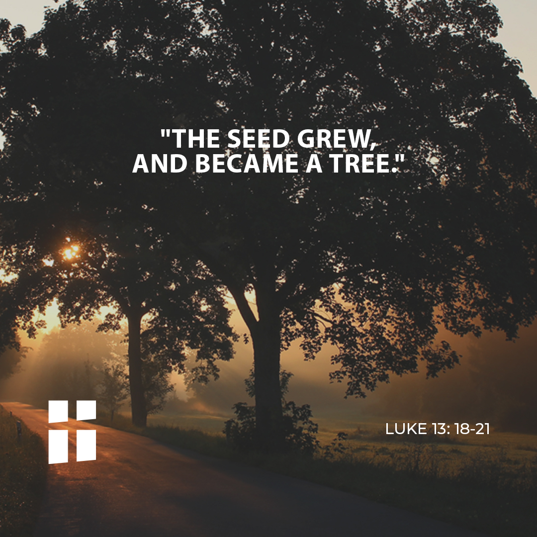 The Gospel of the day: 31st October – Archdiocese of Malta