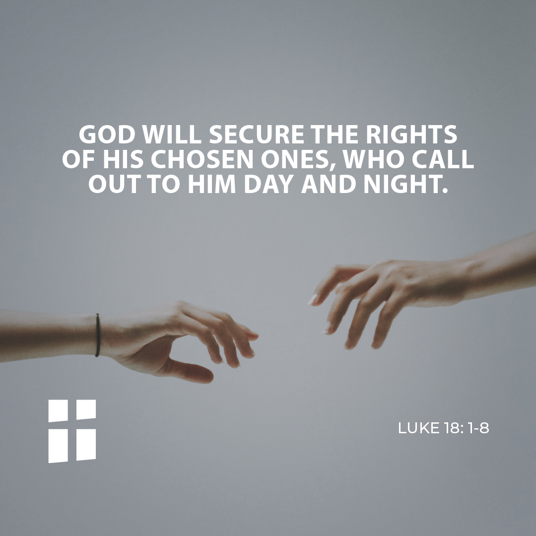 The Gospel of the day: 18th November – Archdiocese of Malta