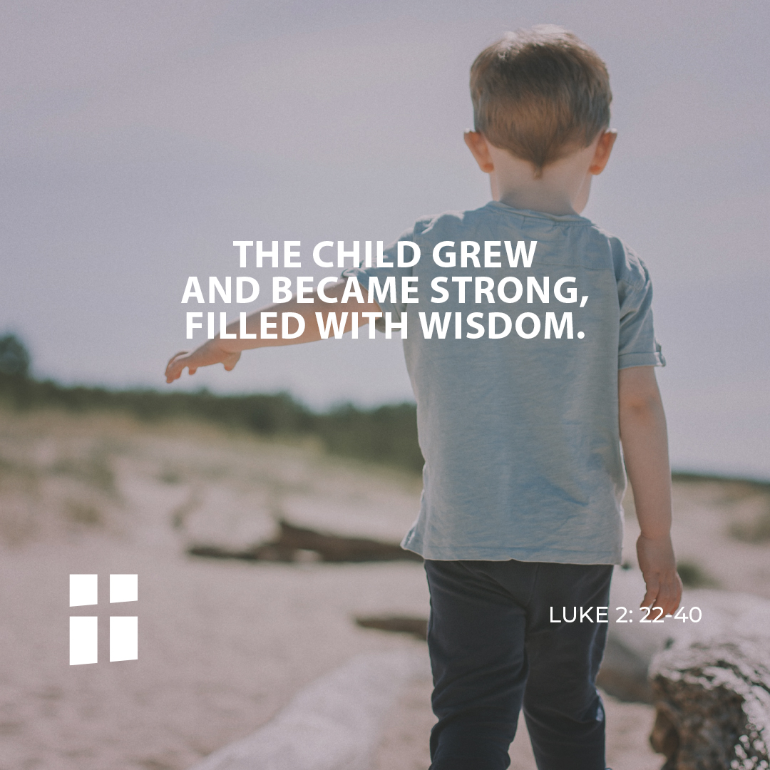 The Sunday Gospel: 31st December – Archdiocese of Malta