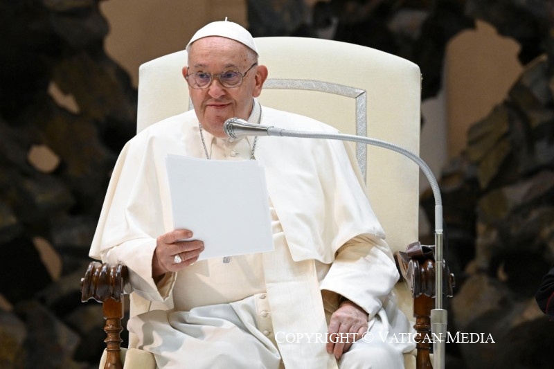 Pope At Audience: The Church cannot move forward without the Holy ...
