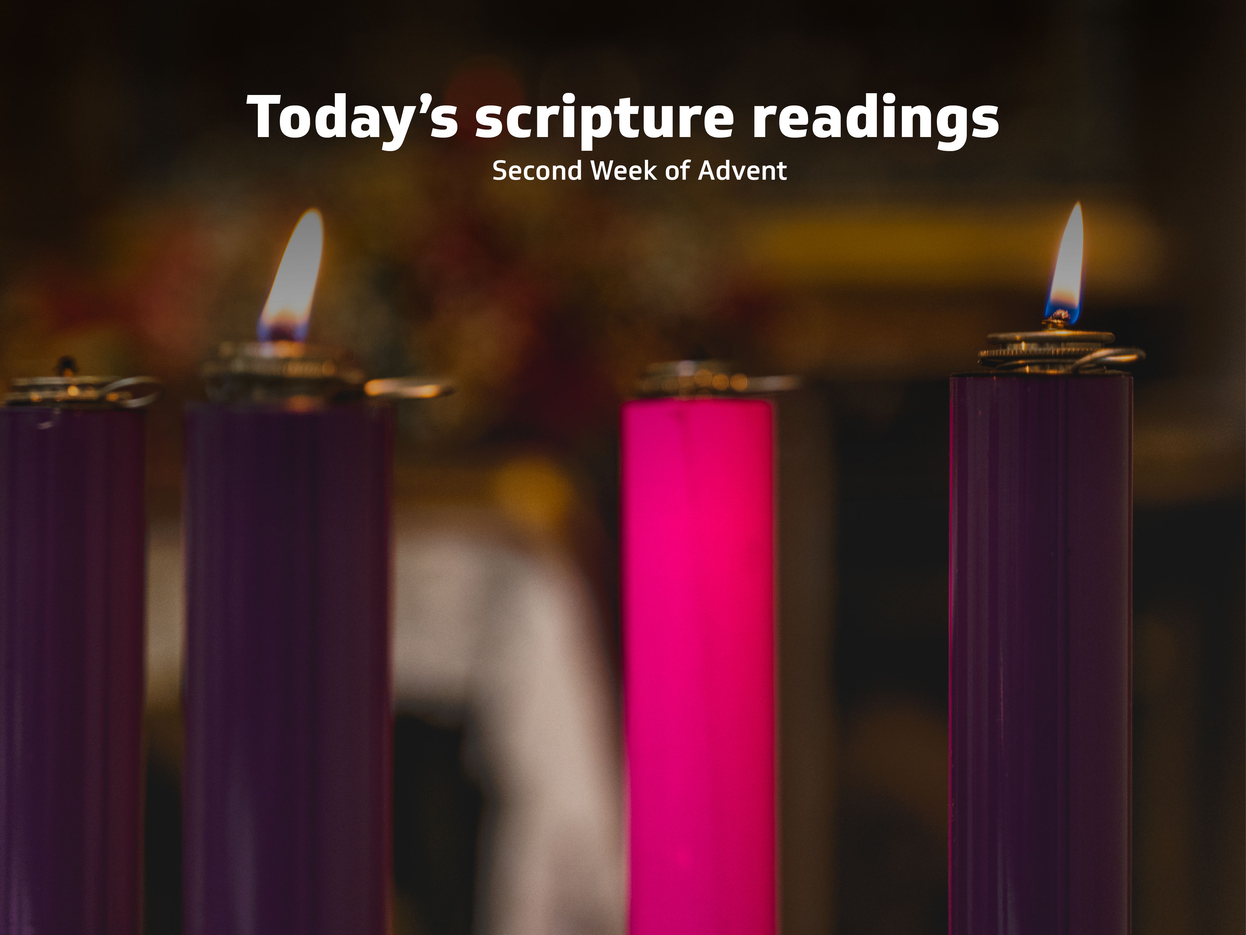 The Sunday Gospel: 7th December – Archdiocese of Malta