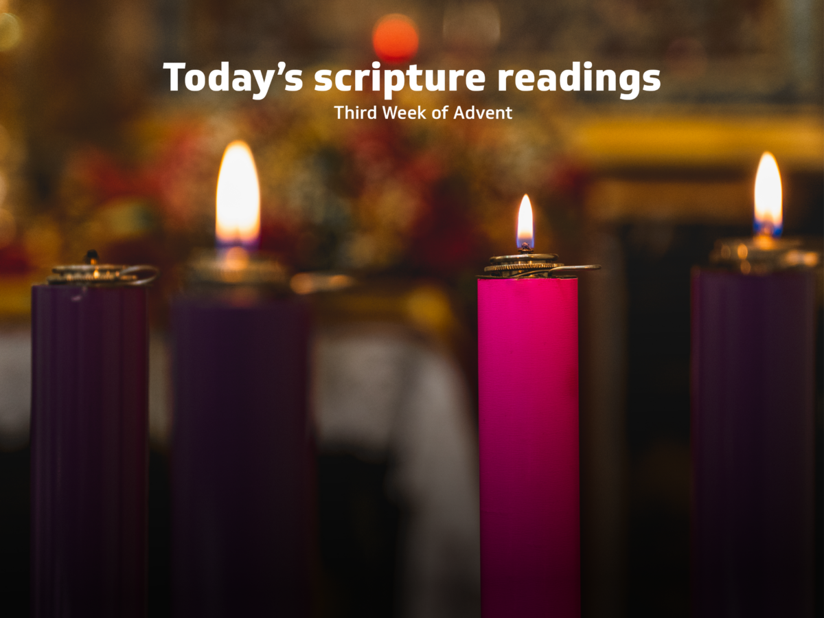 The Sunday Gospel: 14th December – Archdiocese of Malta